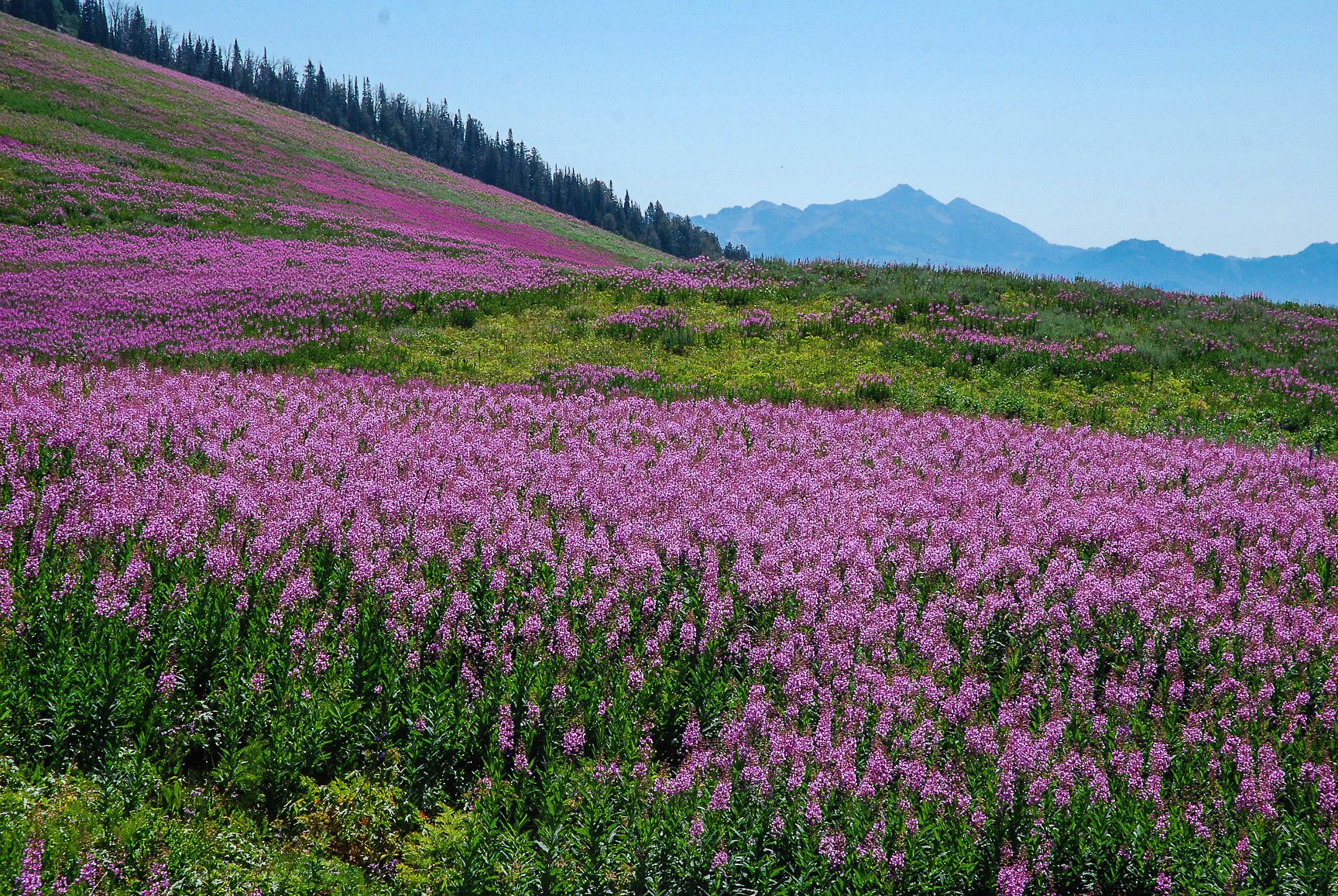 Leave No Trace | Friends of Bridger Teton National Forest